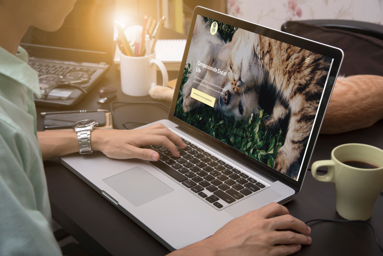 Web Design - Tip-Top Media Co.